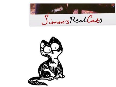"Simon's Real Cats": Die Gesichter hinter "Simon's Cat"